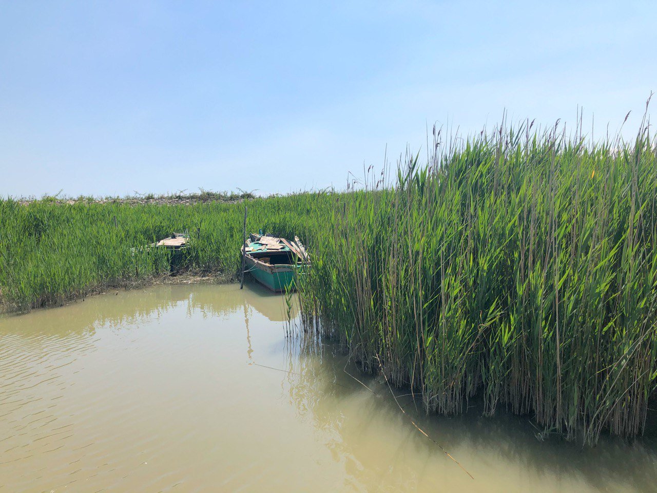Delta del Po: cosa fare e vedere con tutta la famiglia sul lato veneto ...